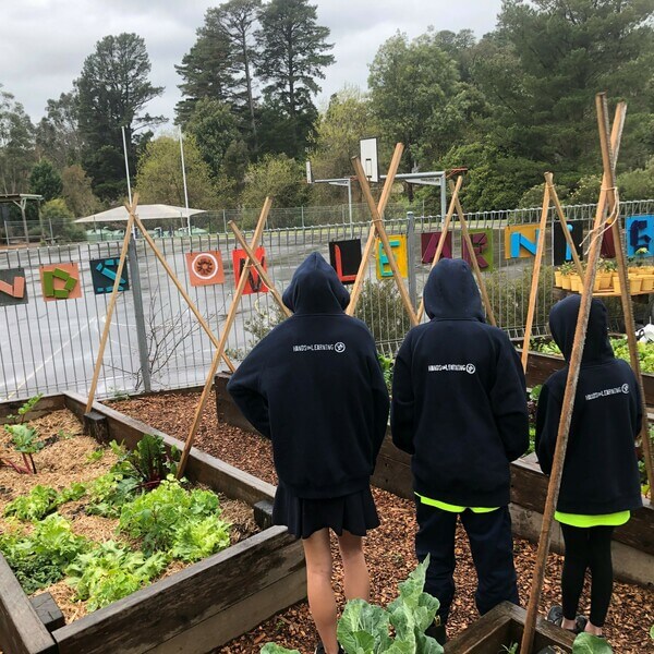 Hands on Learning Primary