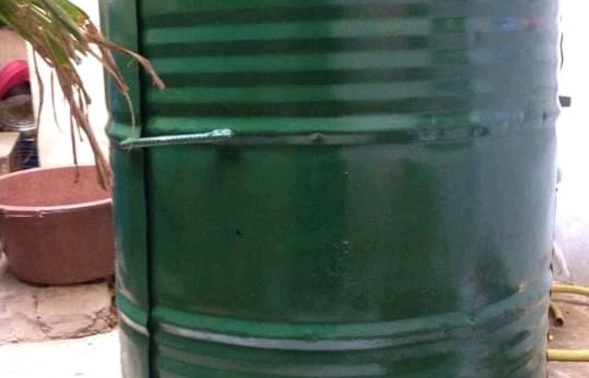 the Mechanical Sorting Bin