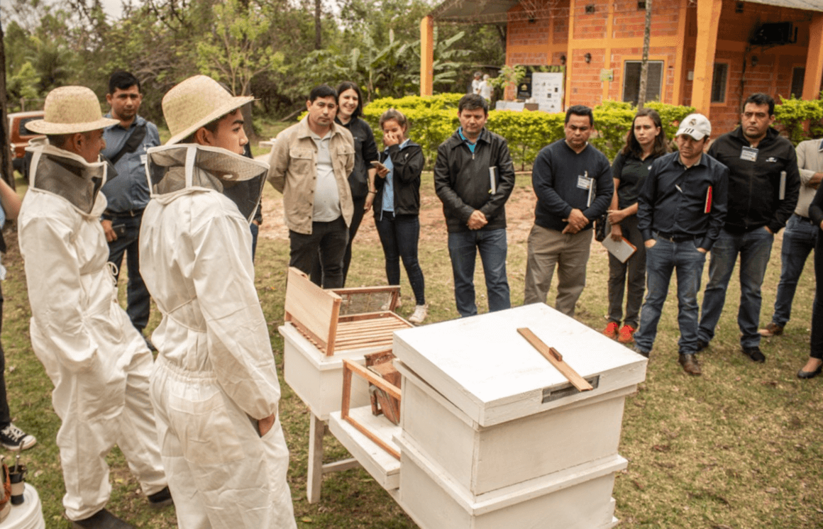 Self-sustaining School Model